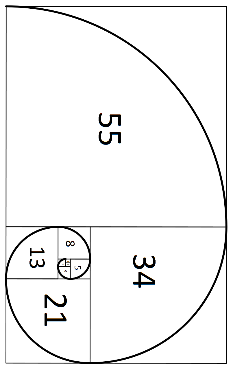 Lagoena Drink Bottle 24 oz. – White Flower of Life – Heart Wisdom and Light